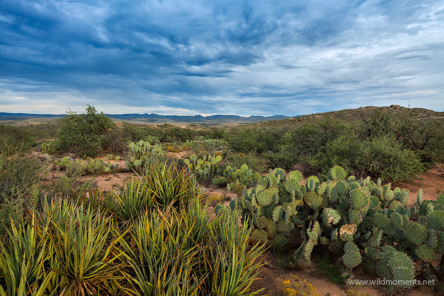 The Forgotten Sojourn | Agua Fria National Monument, AZ | Michael ...